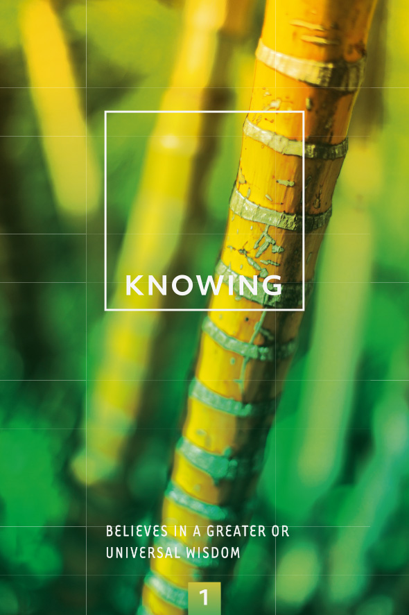 Resources - Conscious Leaders